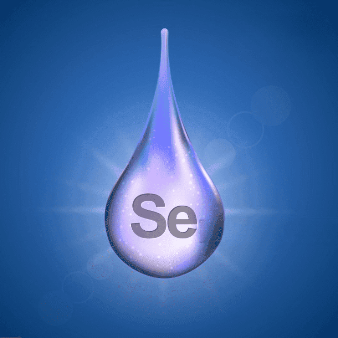 JNNC Technologies |Best Software Training Institute in Vizag